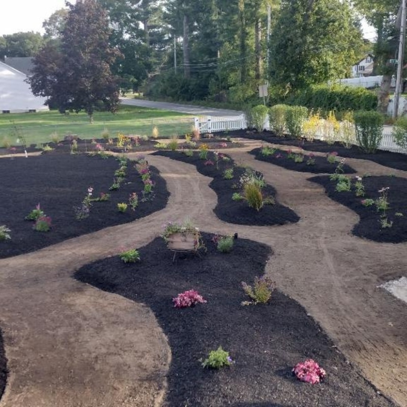 Creative Ideas for Garden Borders and Edging