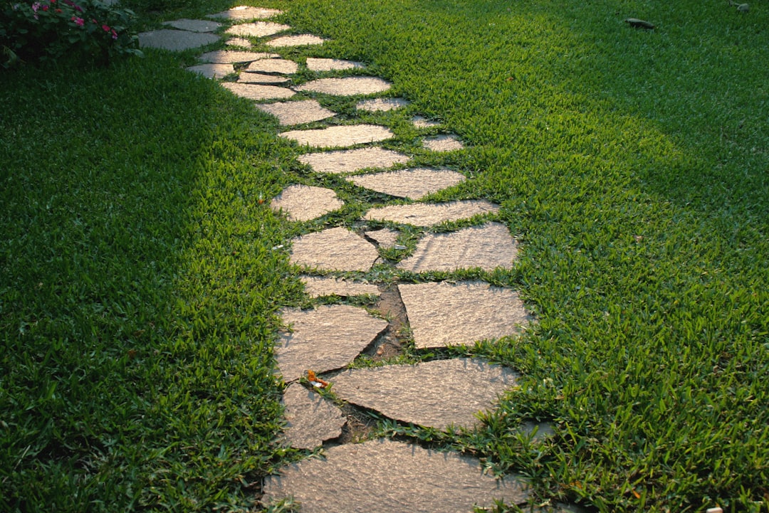 Laying a Flagstone Path: 7 Proven Steps for Stunning Success 2025
